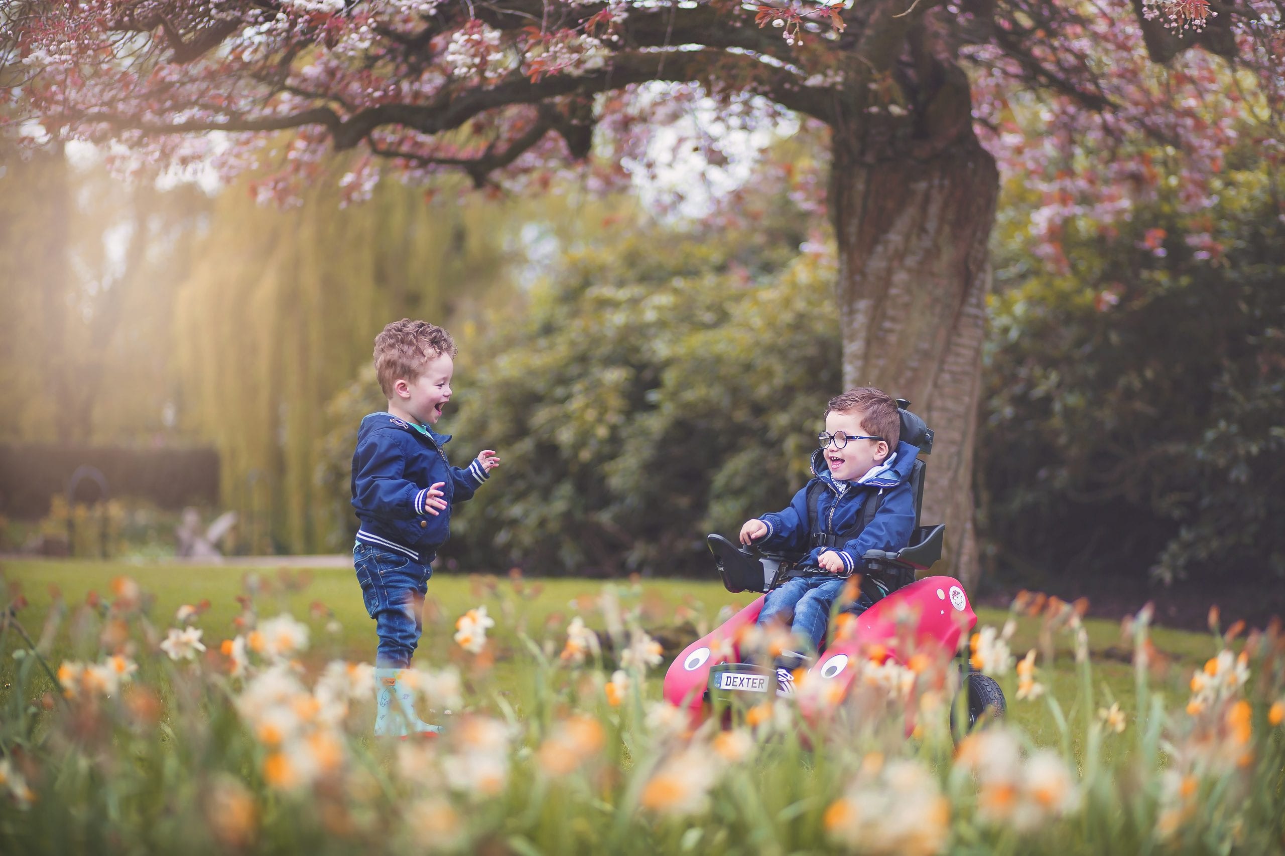 Raising money for Wizzybugs - Golden 8 Ball